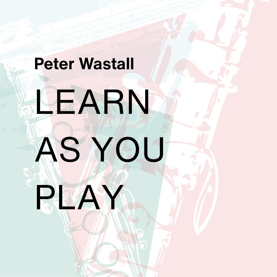 Learn as you Play Series